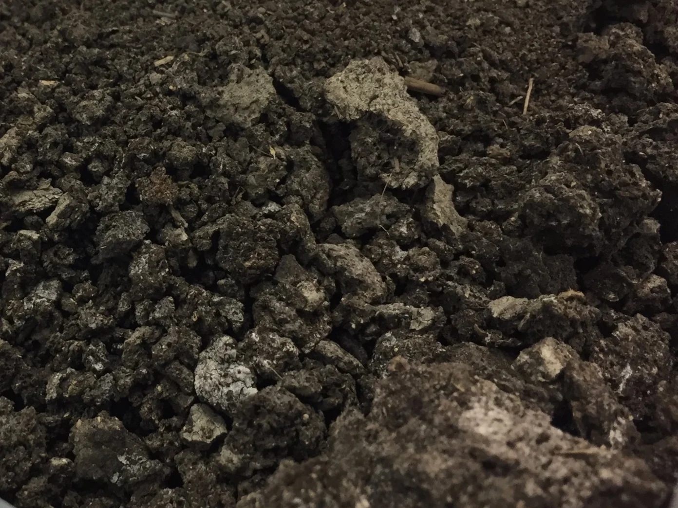 Phinite A Real Solution for Sludge