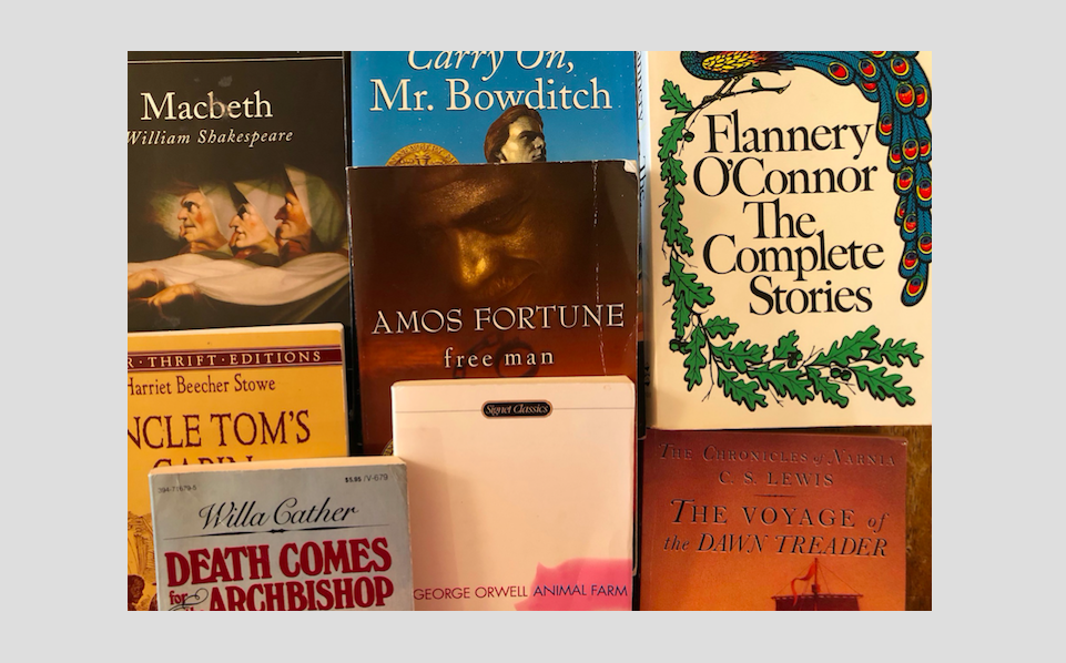 STEM CLASSES — Aquinas Learning