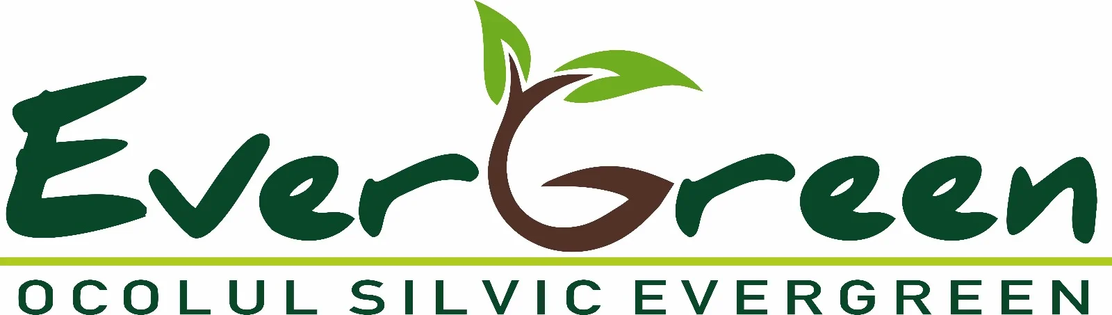 Ocol Silvic Muntenia