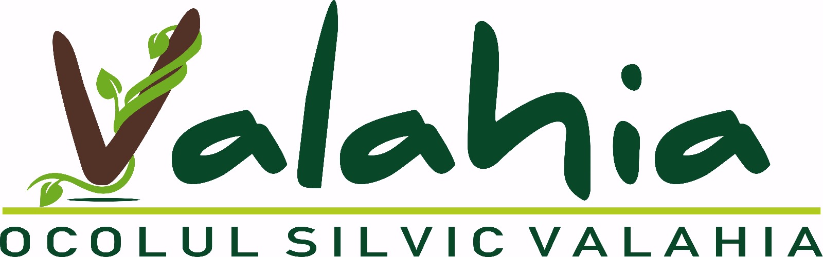 Ocol Silvic Muntenia