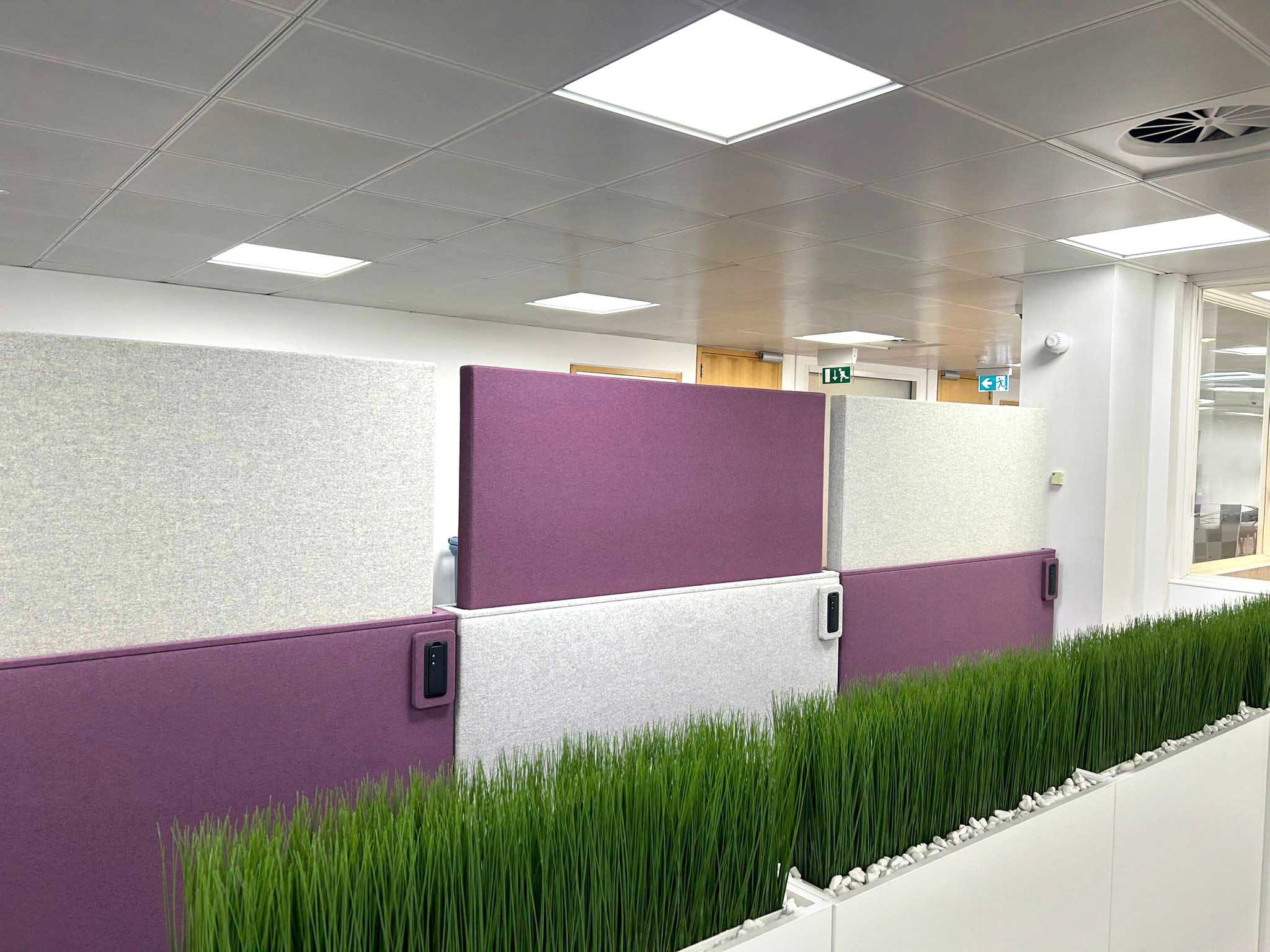 Acoustic Office Dividing Screens — AgileAcoustics