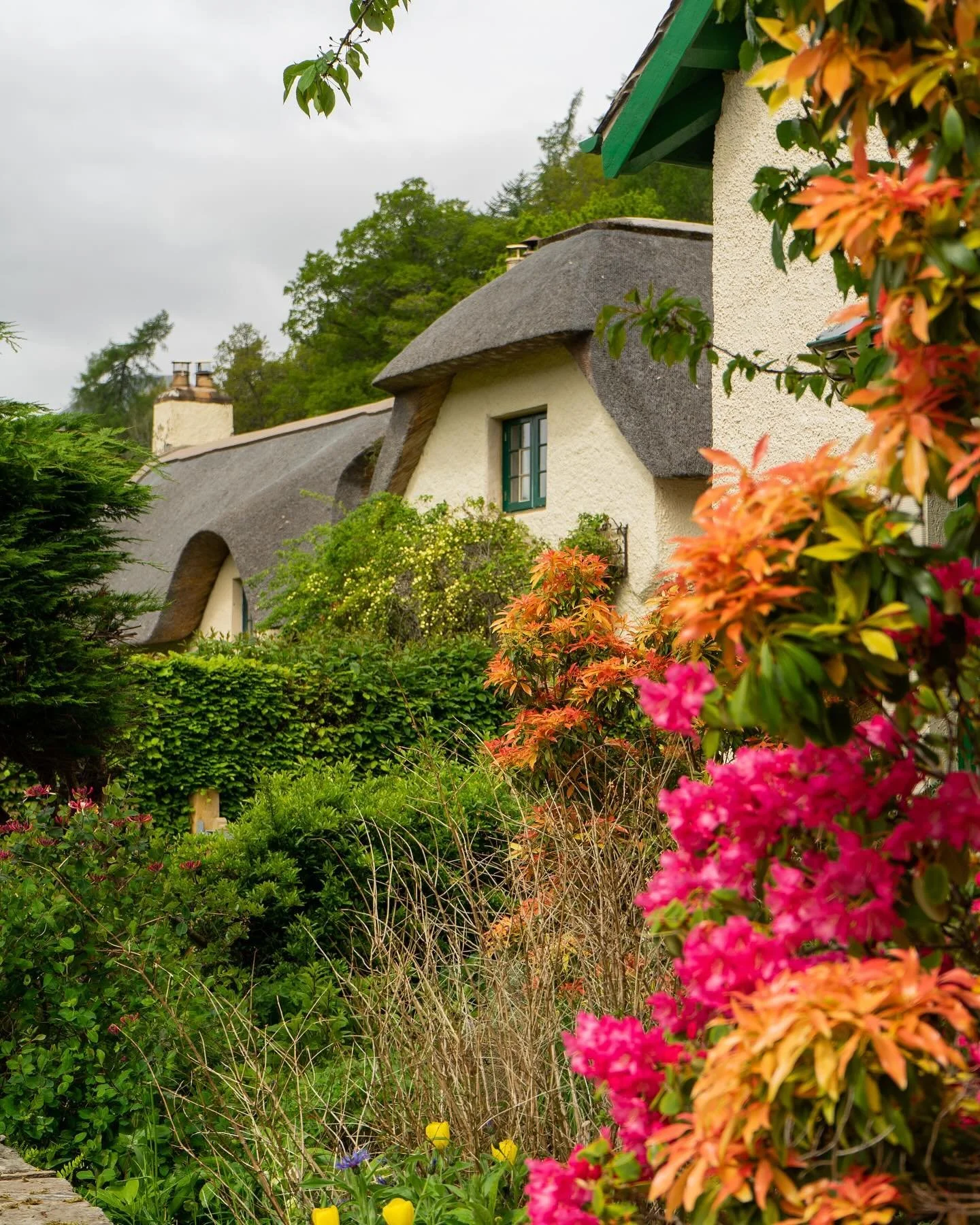 AD | Comrie Art Hut Open — The Perthshire Magazine