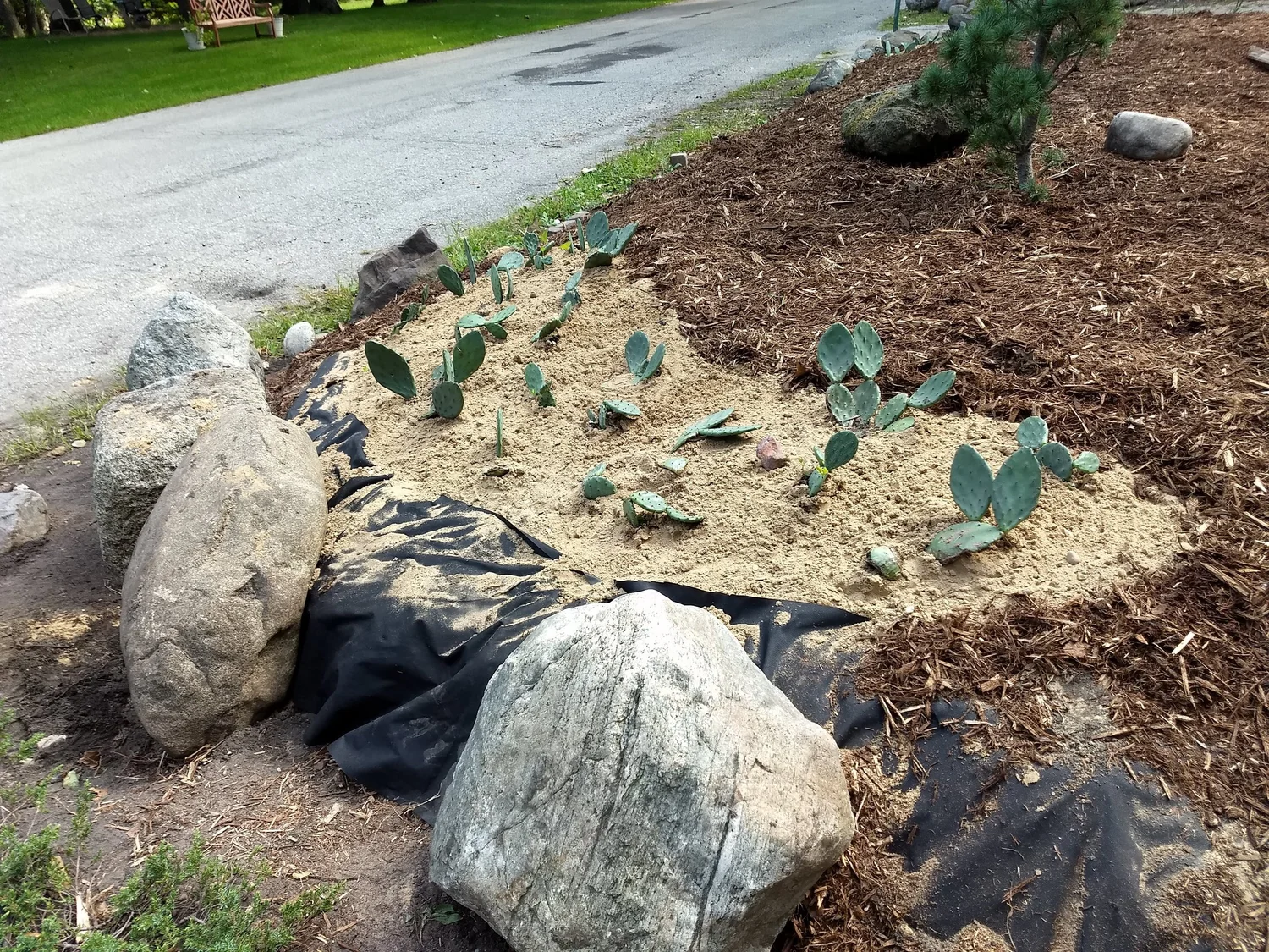 Native Plant Landscaping — Bluestem Ecology