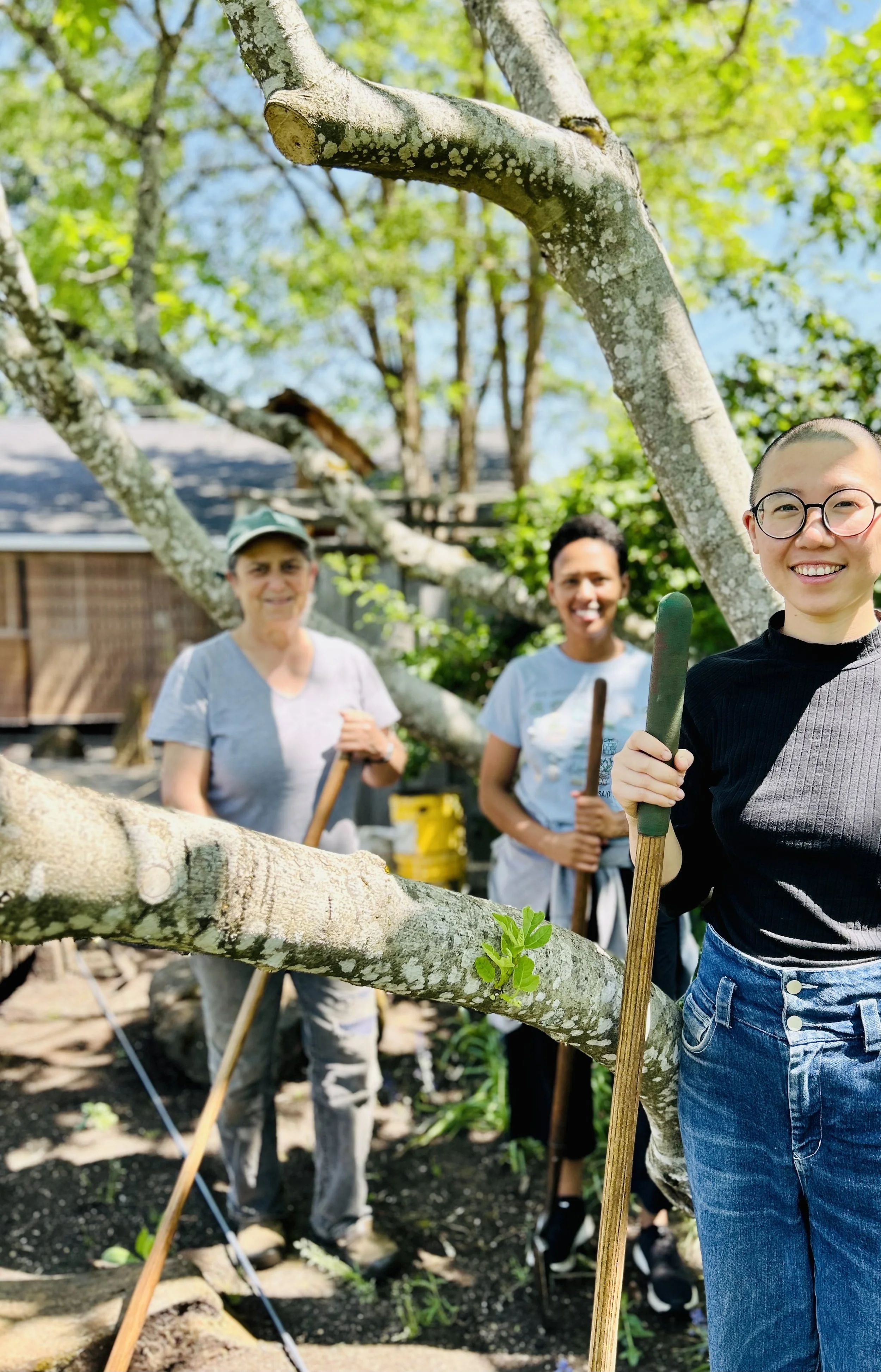 Assemblies, Classes, and Talks — Buddha Eye Temple