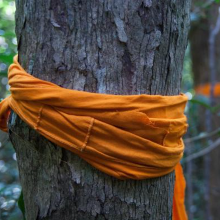 Assemblies, Classes, and Talks — Buddha Eye Temple