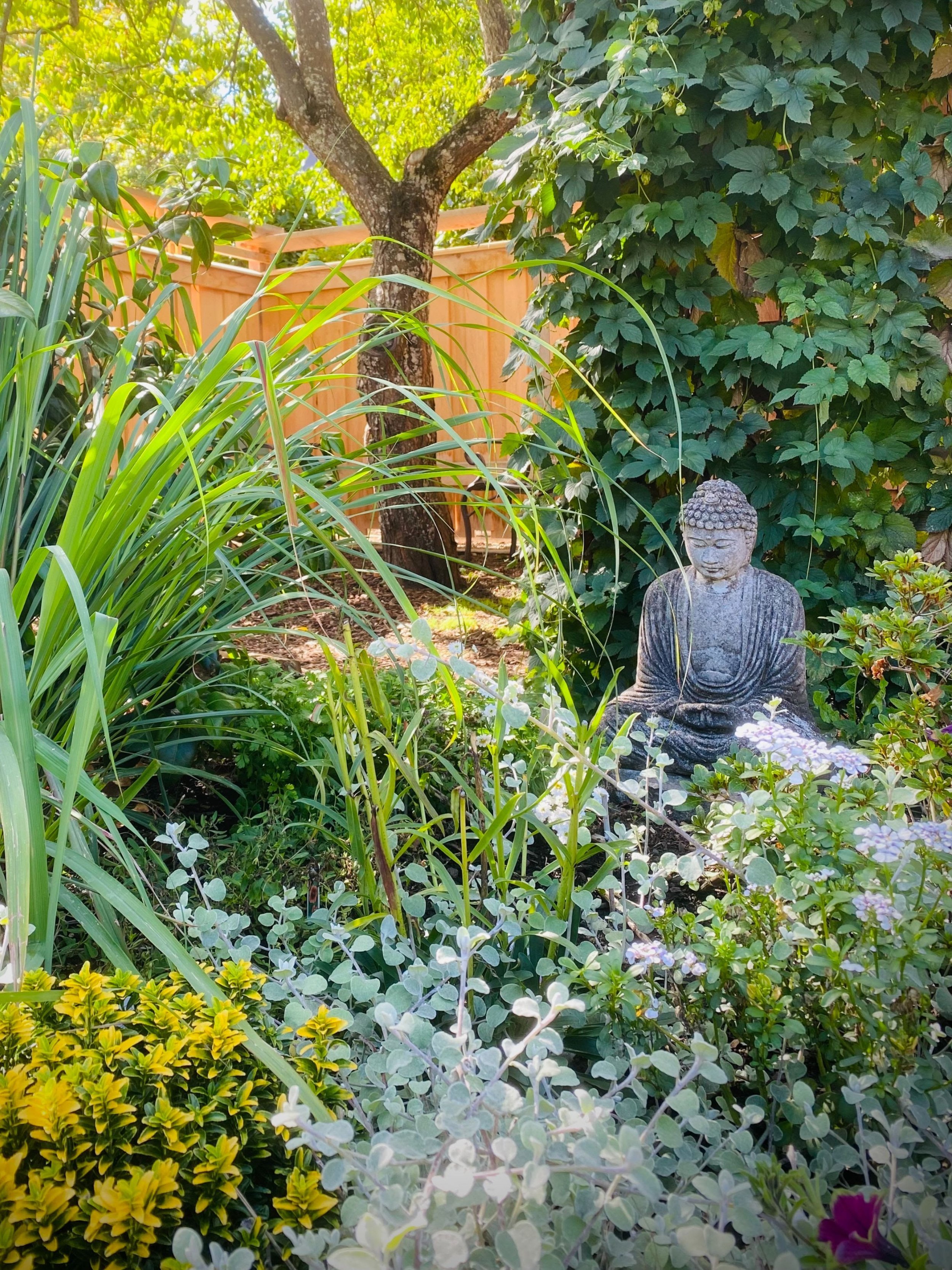 February Sesshin — Buddha Eye Temple