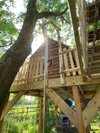 Bespoke Treehouse & Zip Wire Experts