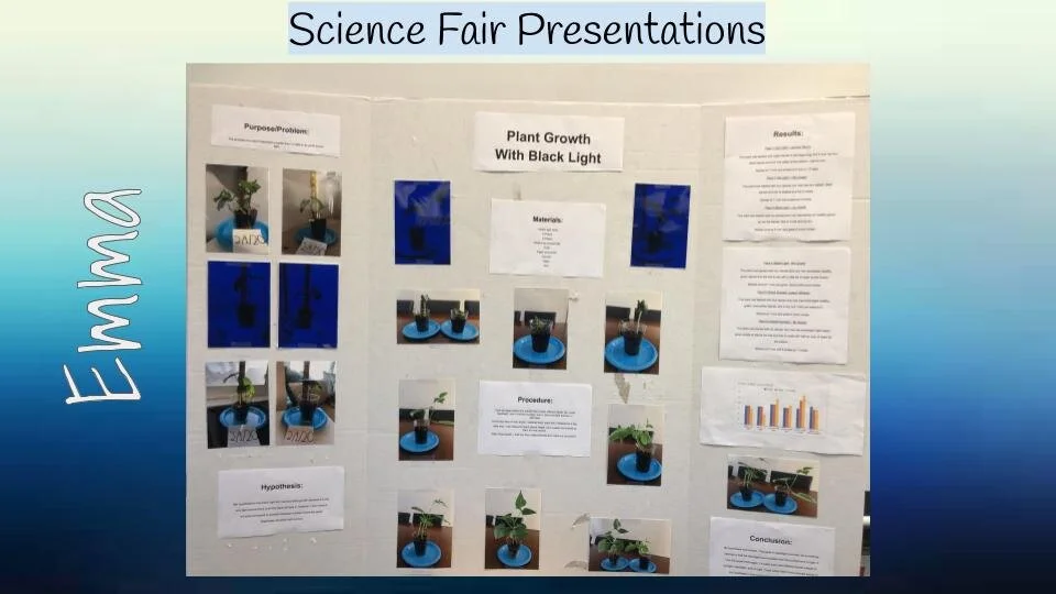 Science Fair Projects Ideas For 6th Grade