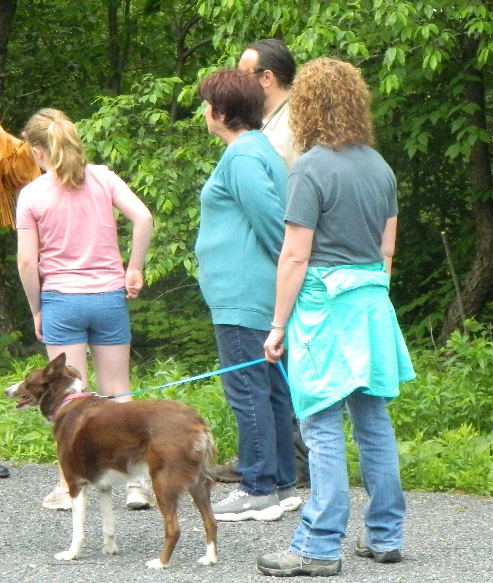 Mt Jewett to Kinzua Bridge (MJ2KB) Trail Club (home)