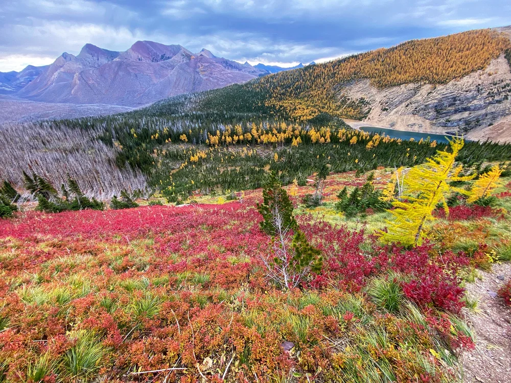 Waterton Lakes National Park — The Trek Blog