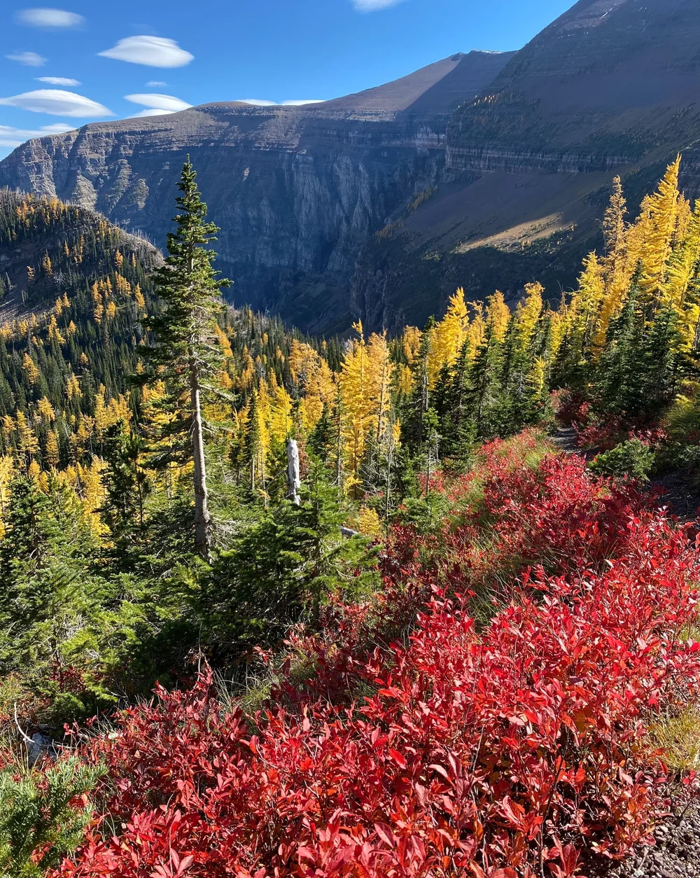 Waterton Lakes National Park — The Trek Blog