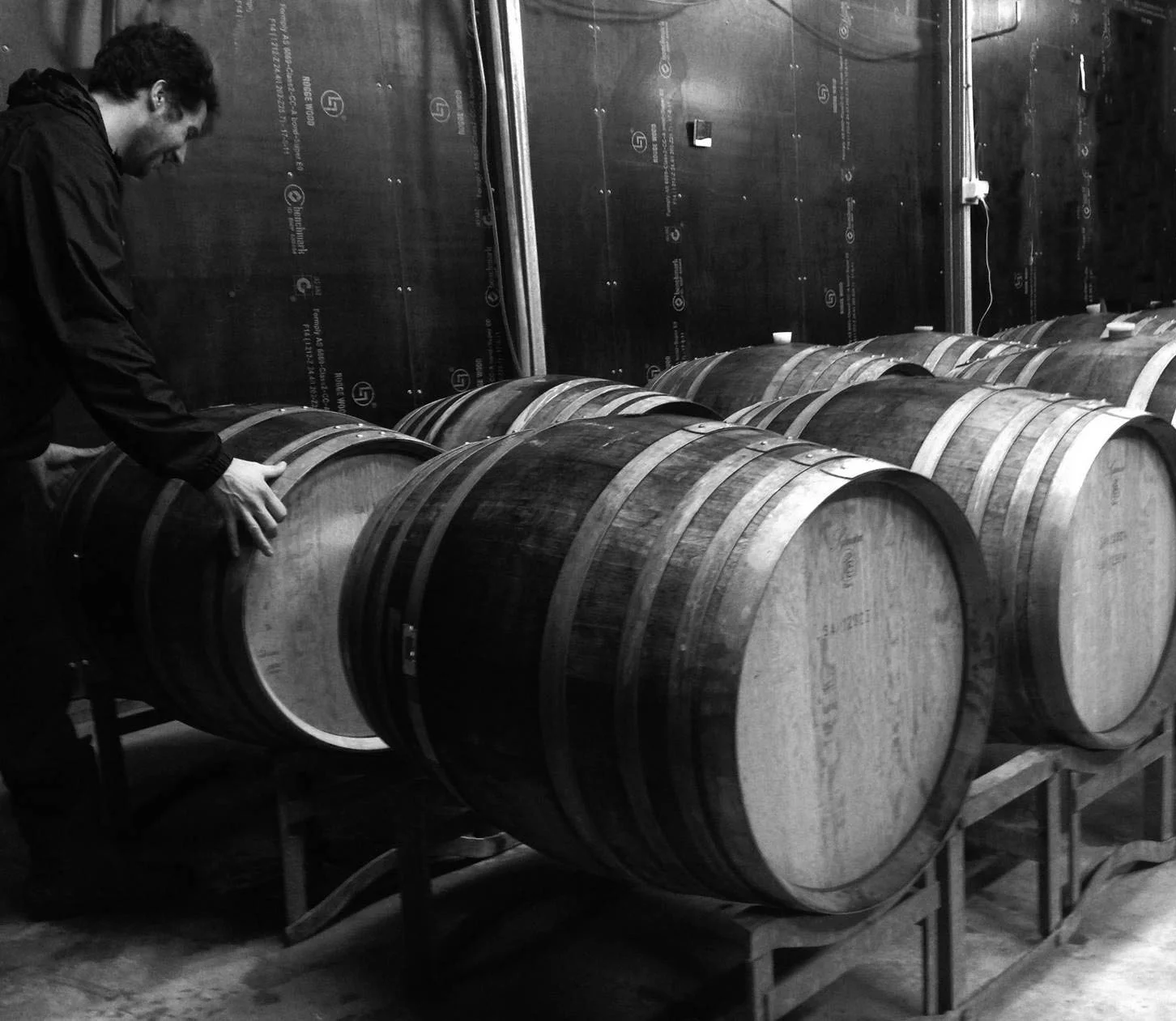 The Wine — DEVOTUS