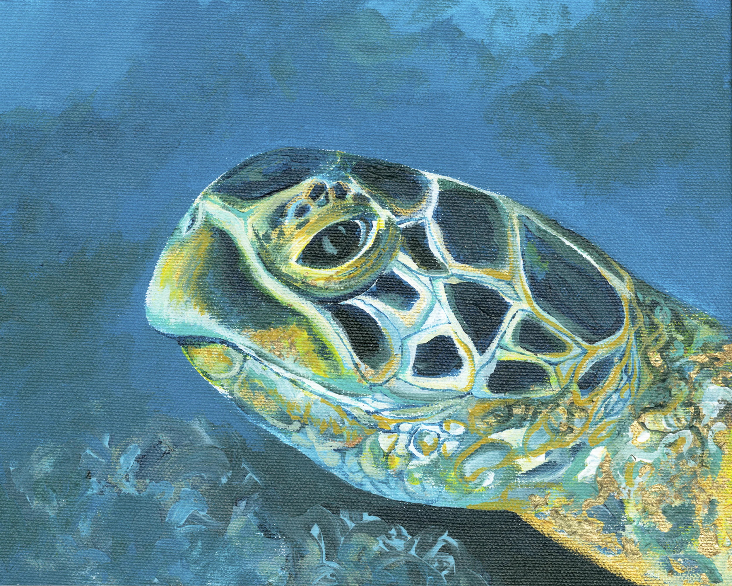 Store — Honu Wisdom