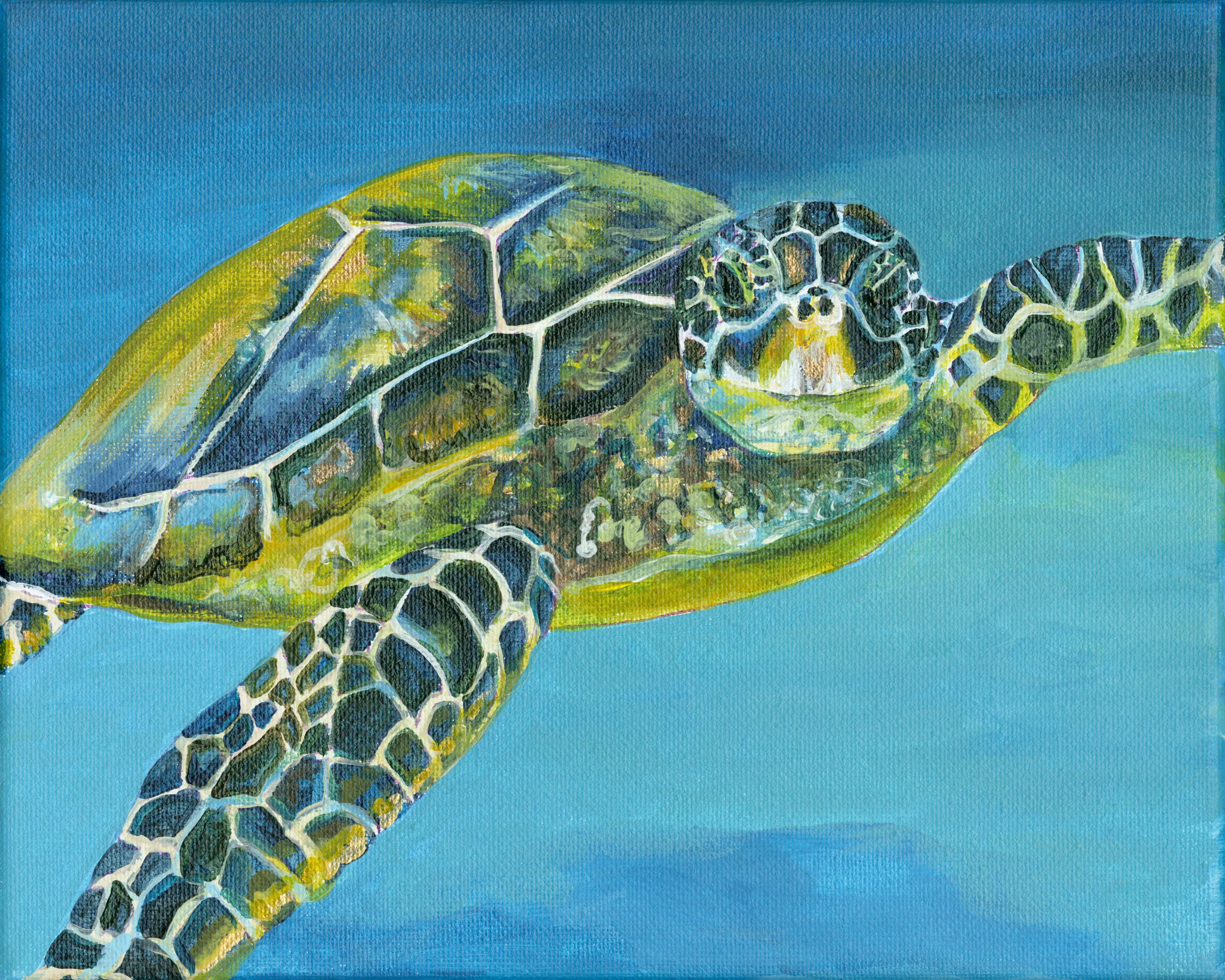 Dream big ~ Honu #23 — Honu Wisdom