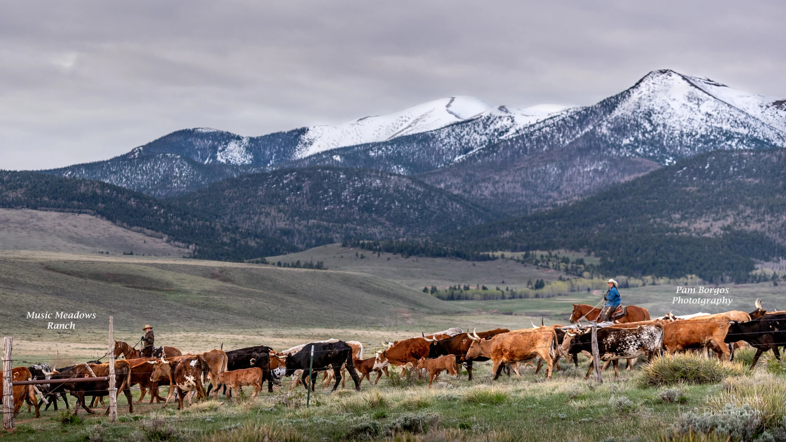 Bruce Borgos - Author