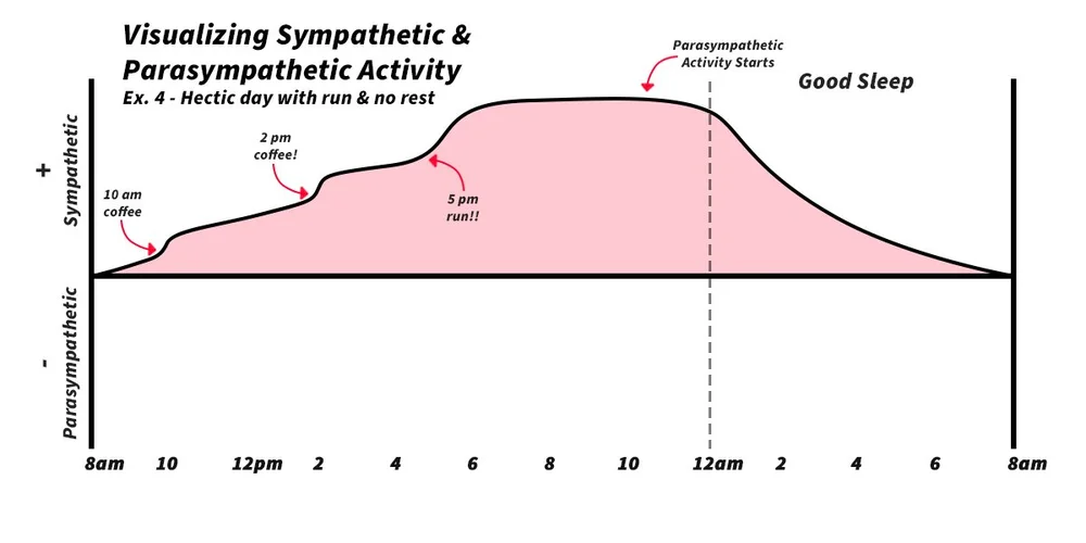 Balancing the Autonomic Nervous System — Wild Free Organic