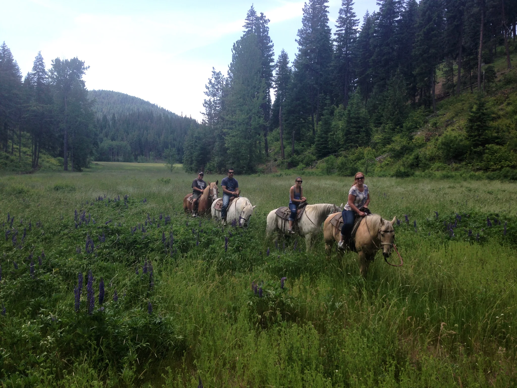 Wild at Heart Horse Rides