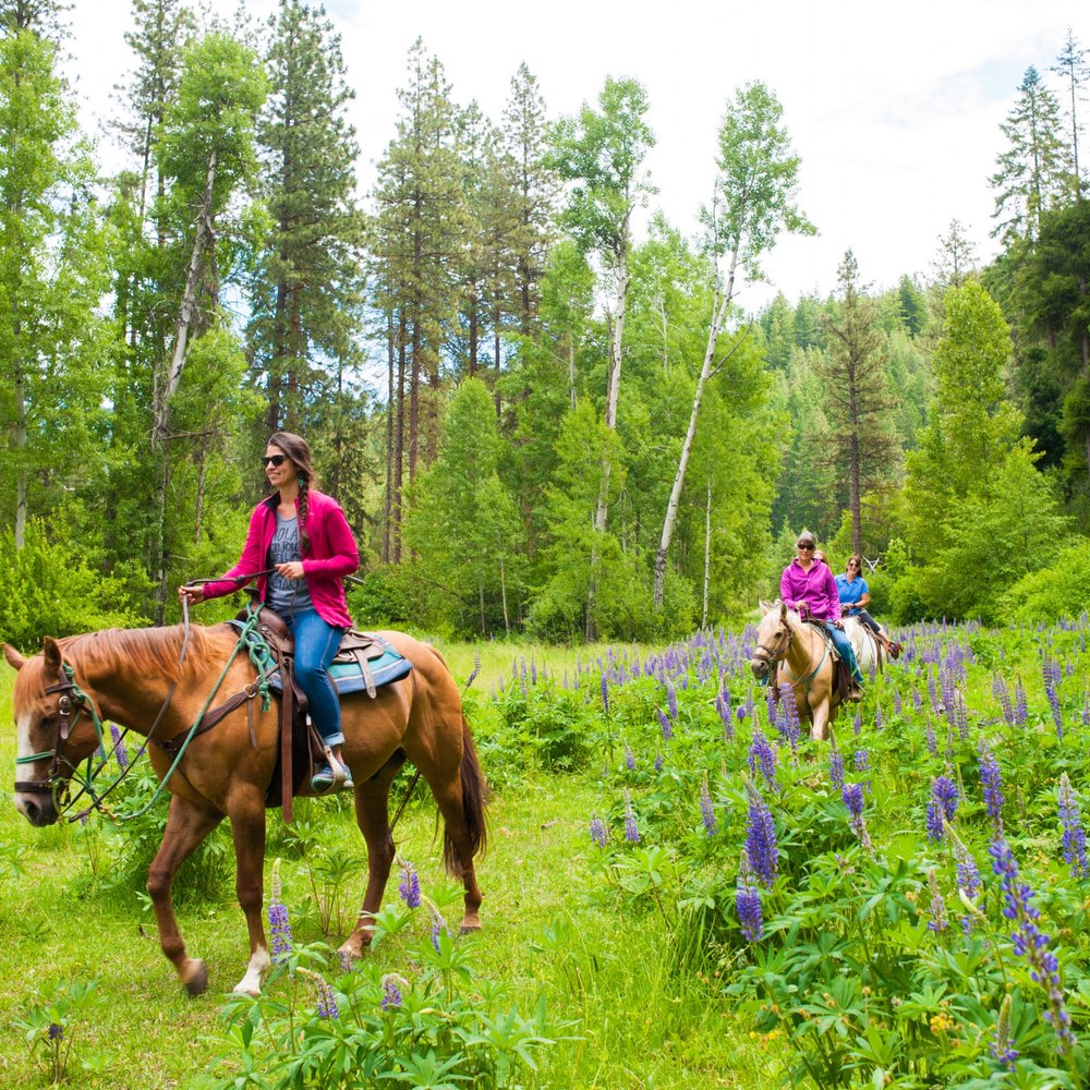Wild at Heart Horse Rides