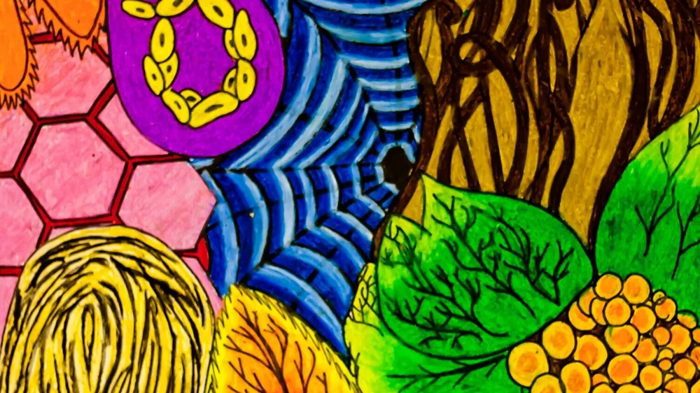 Patterns In Nature patterns-in-nature
