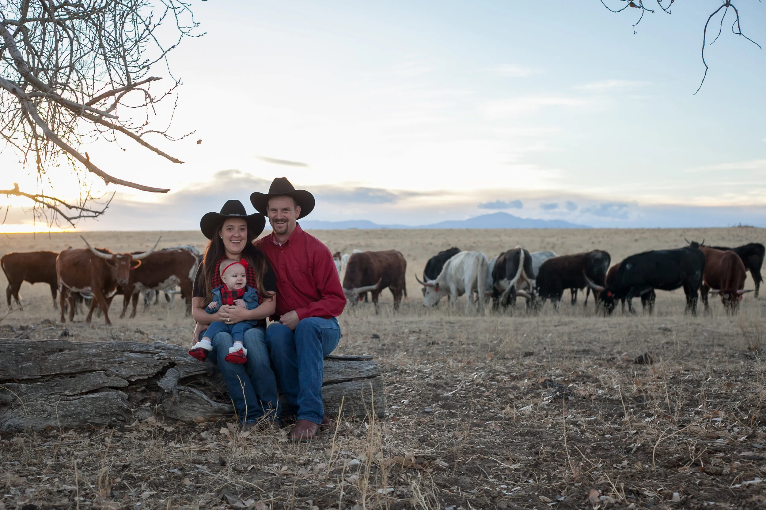 About — Heritage Belle Farms