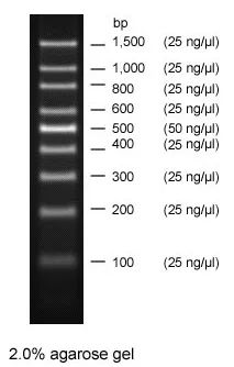 What is the purpose of a “ladder” in molecular biology? — Brain Stuff