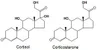What are the differences and similarities between cortisol vs ...
