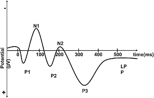 What is the difference between EEG and an event related potential (ERP ...