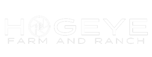 Camera Login — Hogeye