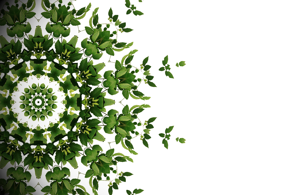 Bailey Cates Cattrell