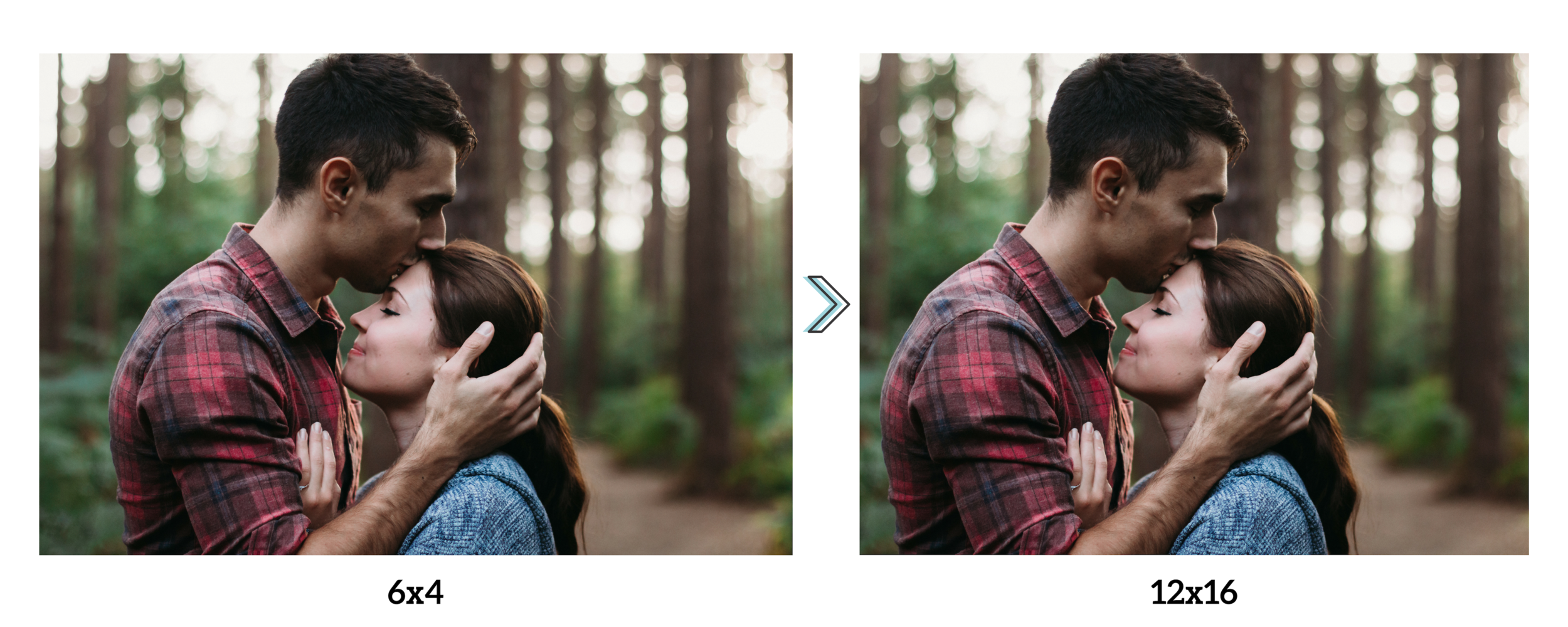Cropping Photography Examples