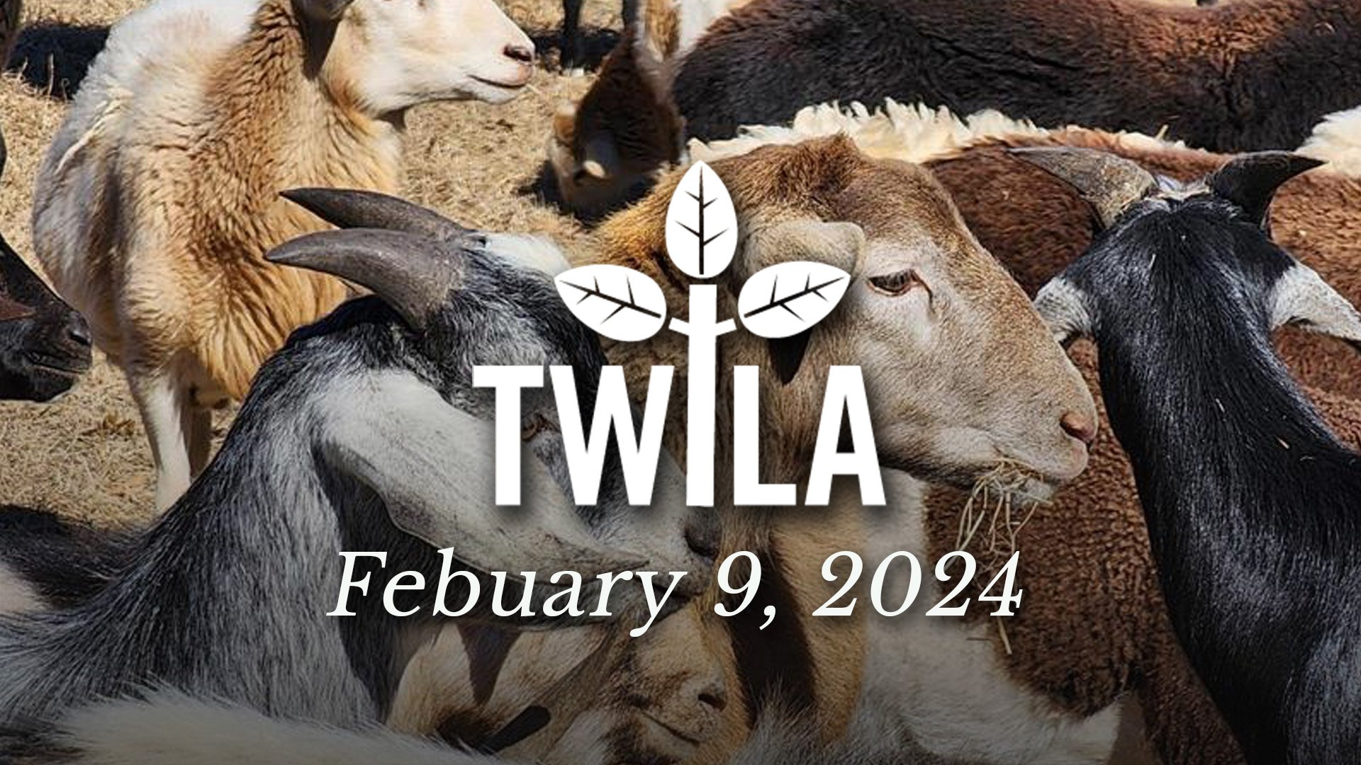 TWILA : February 9, 2024 — This Week in Louisiana Agriculture