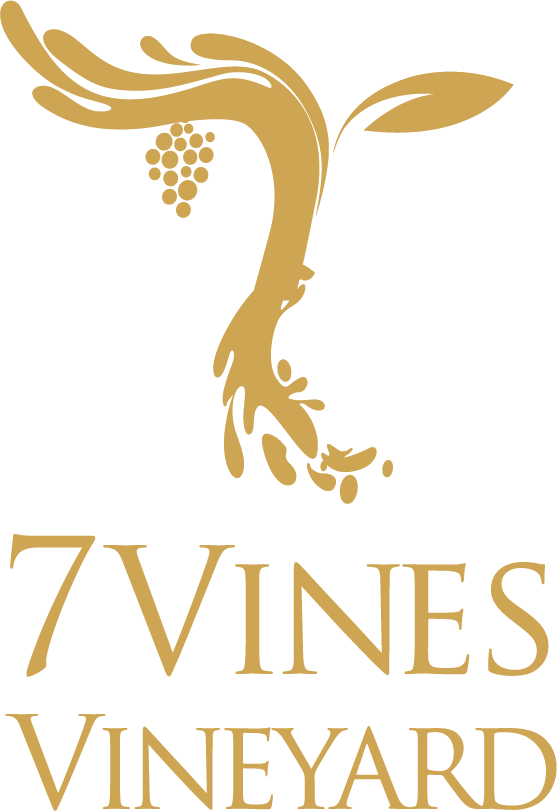 Visit Lakeshore — Lakeshore Players Theatre