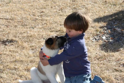 Thank You's — South Park Good Samaritan Fund for Animals