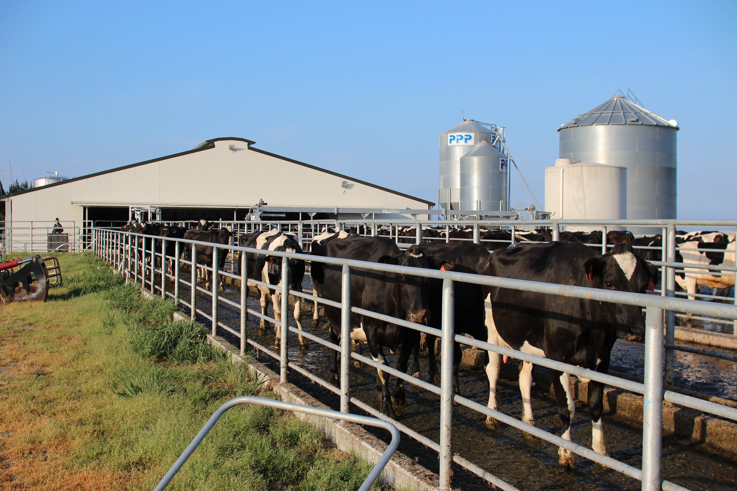 Opepe Farm Trust — He Akina Limited