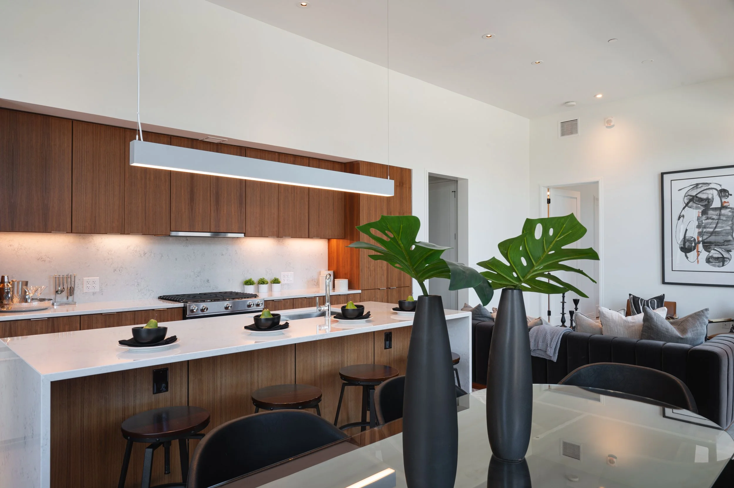 Chatham Park | Downtown Indianapolis Luxury Condos