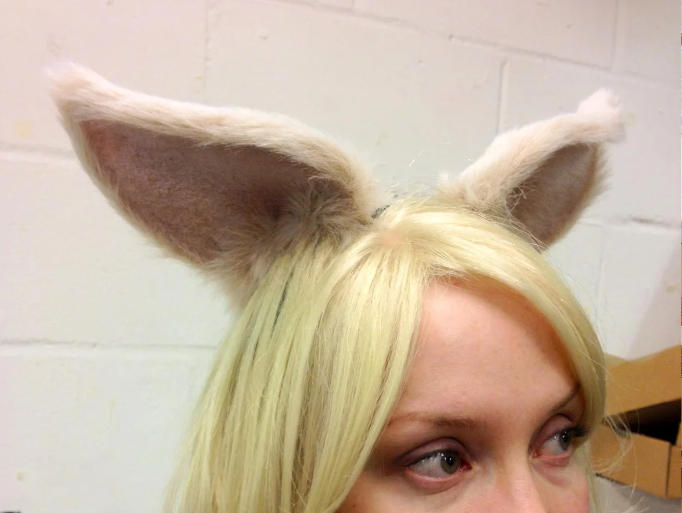 Stitches and Glue - Bespoke Puppet & Creature Makers