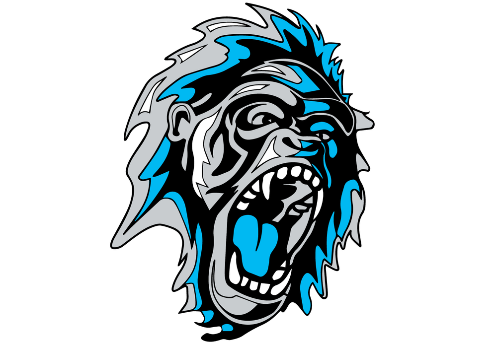 SILVERBACKS — CNY Rugby