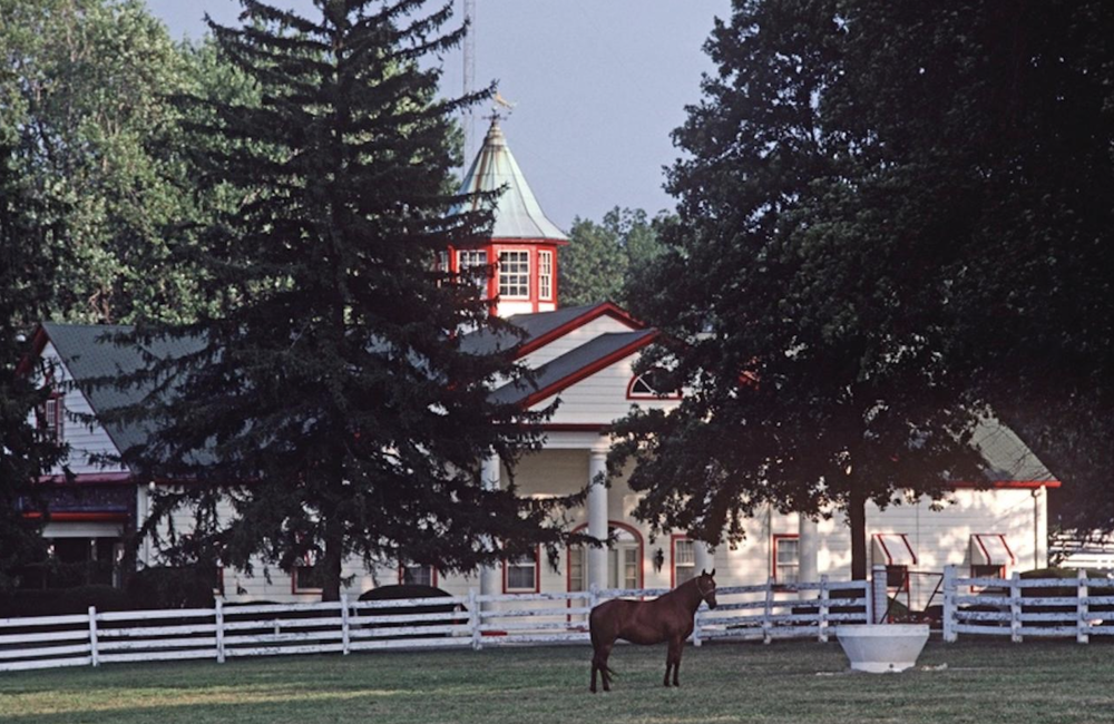 The Largest Horse Farms in Lexington, Kentucky by Acreage (and Some ...