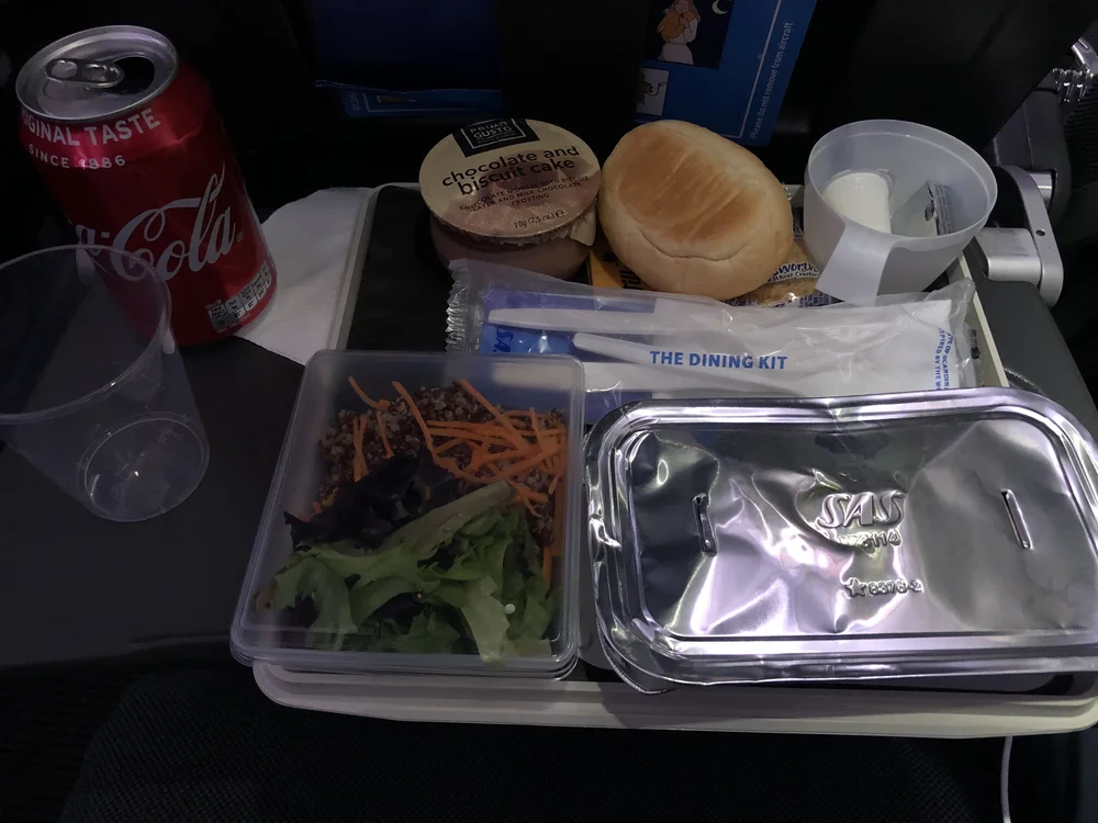 Economy Class Review: SAS Scandinavian Airlines Go SK908: Newark (EWR ...