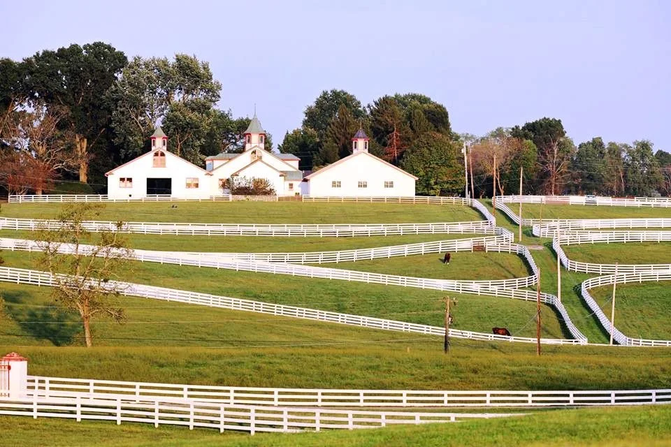 The Largest Horse Farms in Lexington, Kentucky by Acreage (and Some ...