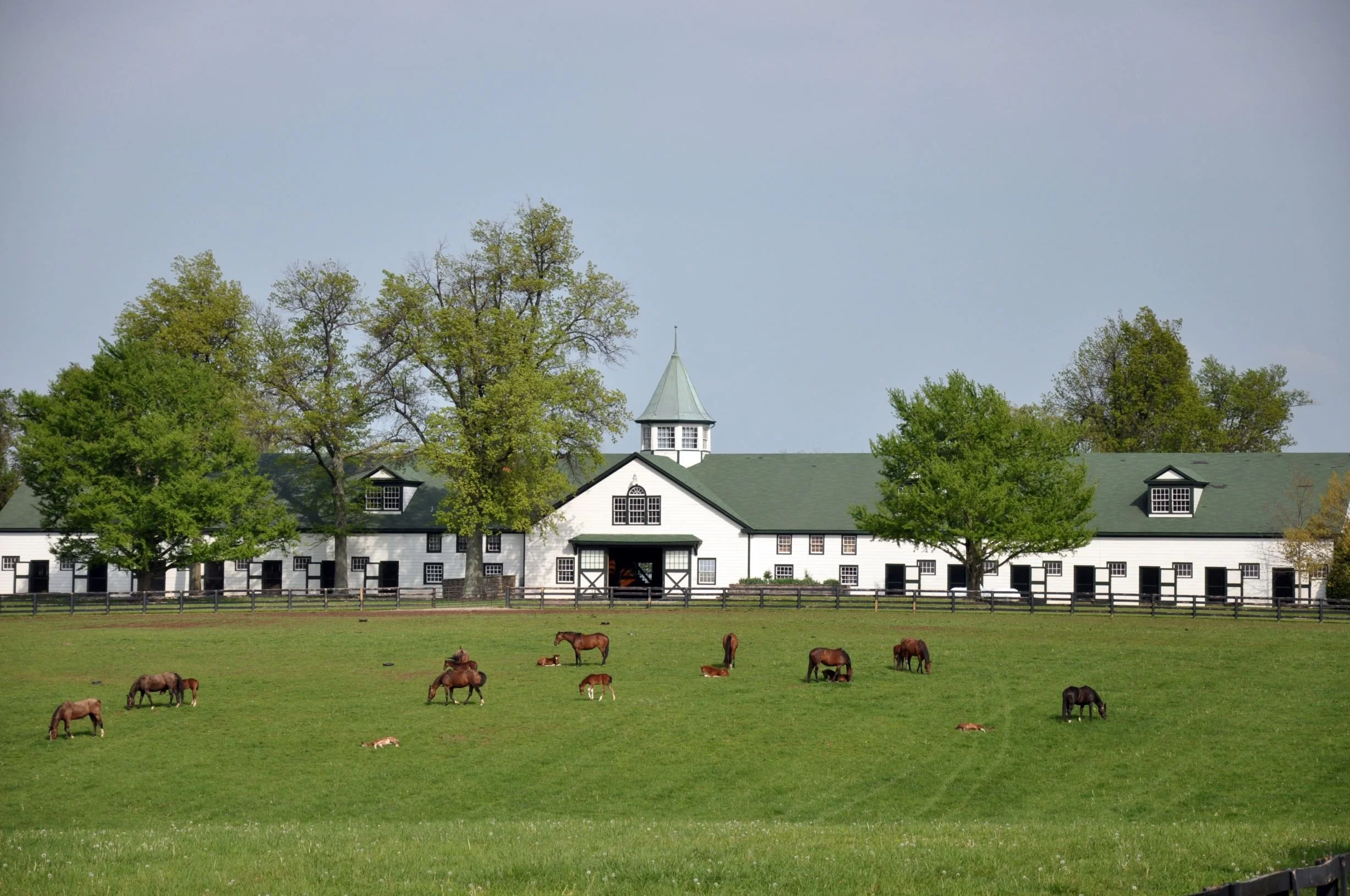 The Largest Horse Farms in Lexington, Kentucky by Acreage (and Some ...
