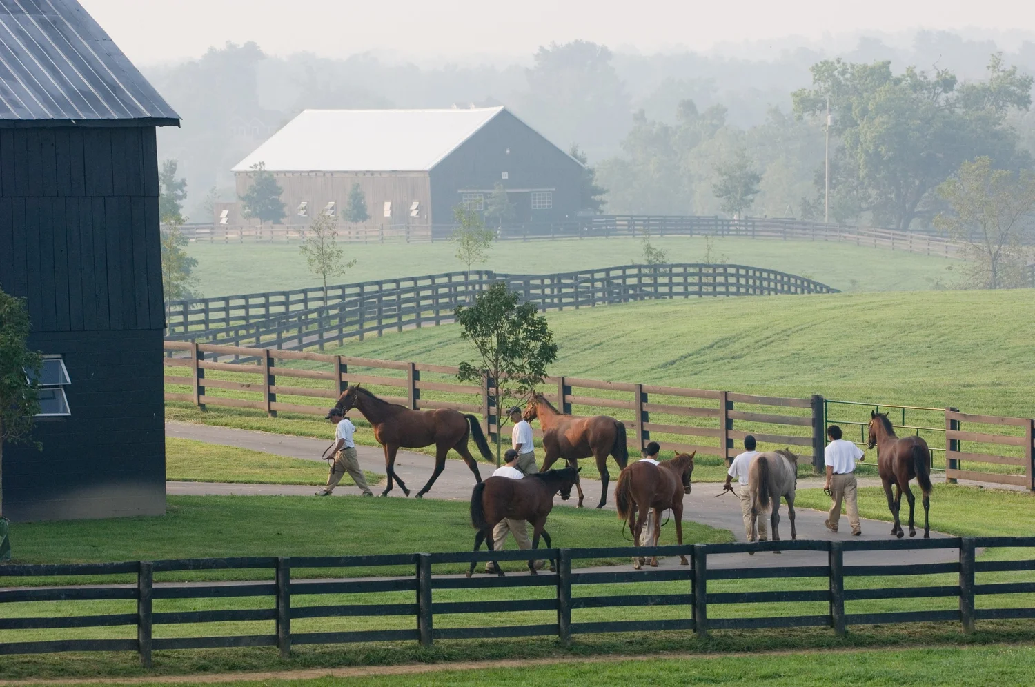 The Largest Horse Farms in Lexington, Kentucky by Acreage (and Some ...