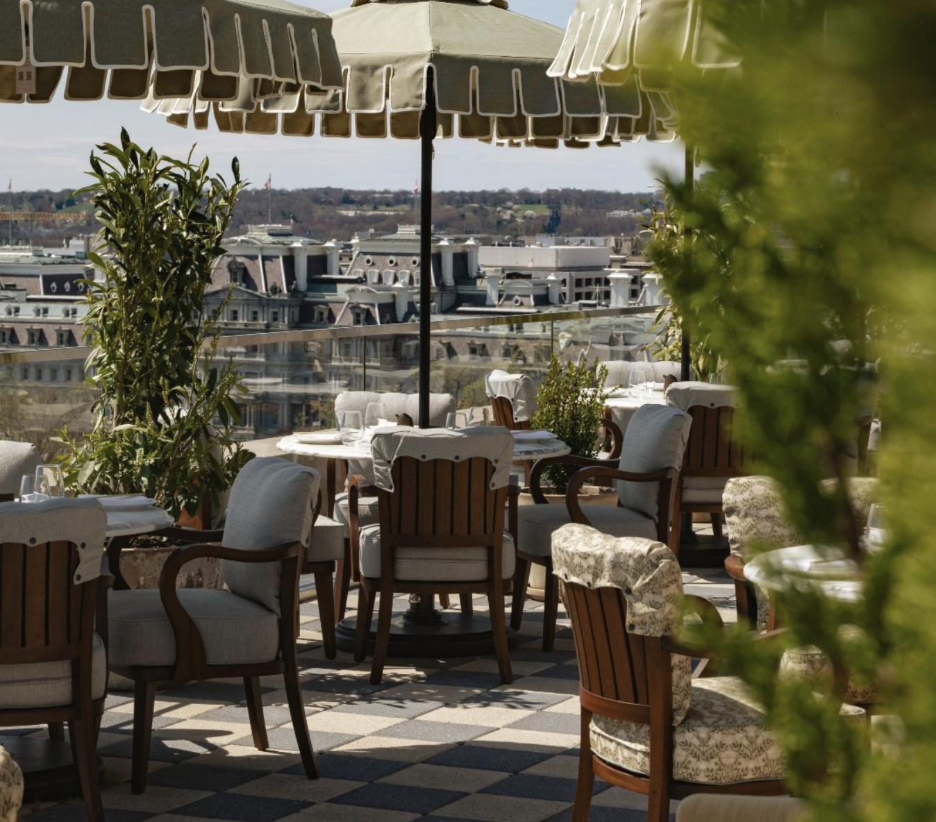 PHOTOS: Experience Ned’s Club Washington, DC, Where Formality Meets ...