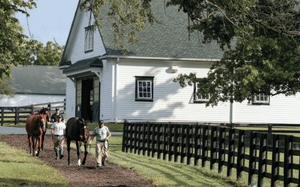 The Largest Horse Farms in Lexington, Kentucky by Acreage (and Some ...