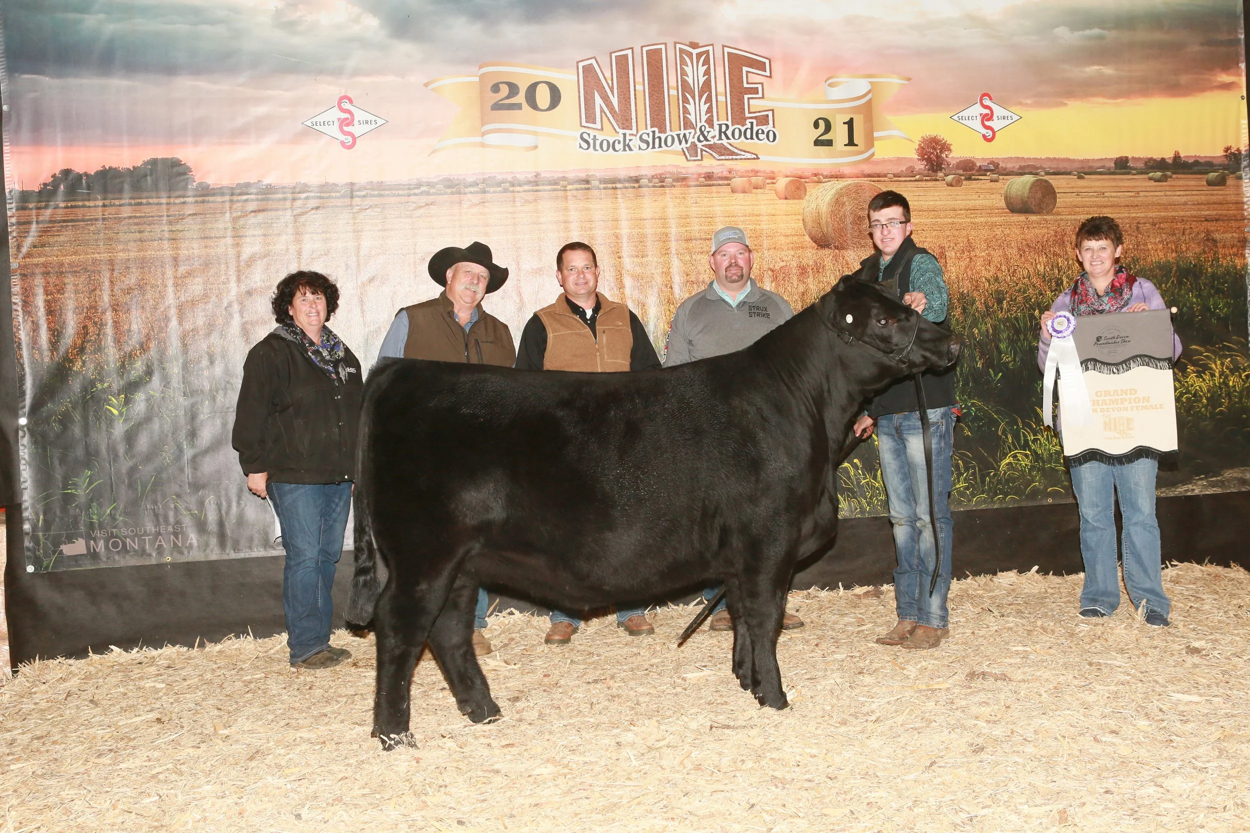 Crossbreeding for commercial cattlemen | DLCC Ranch — DLCC Ranch