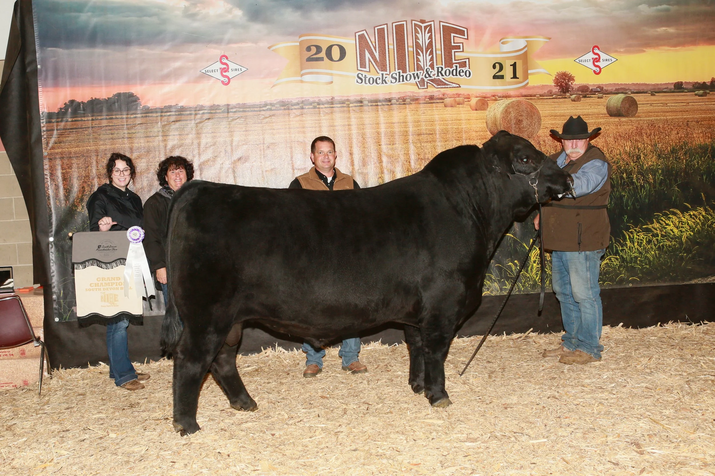 Crossbreeding for commercial cattlemen | DLCC Ranch — DLCC Ranch