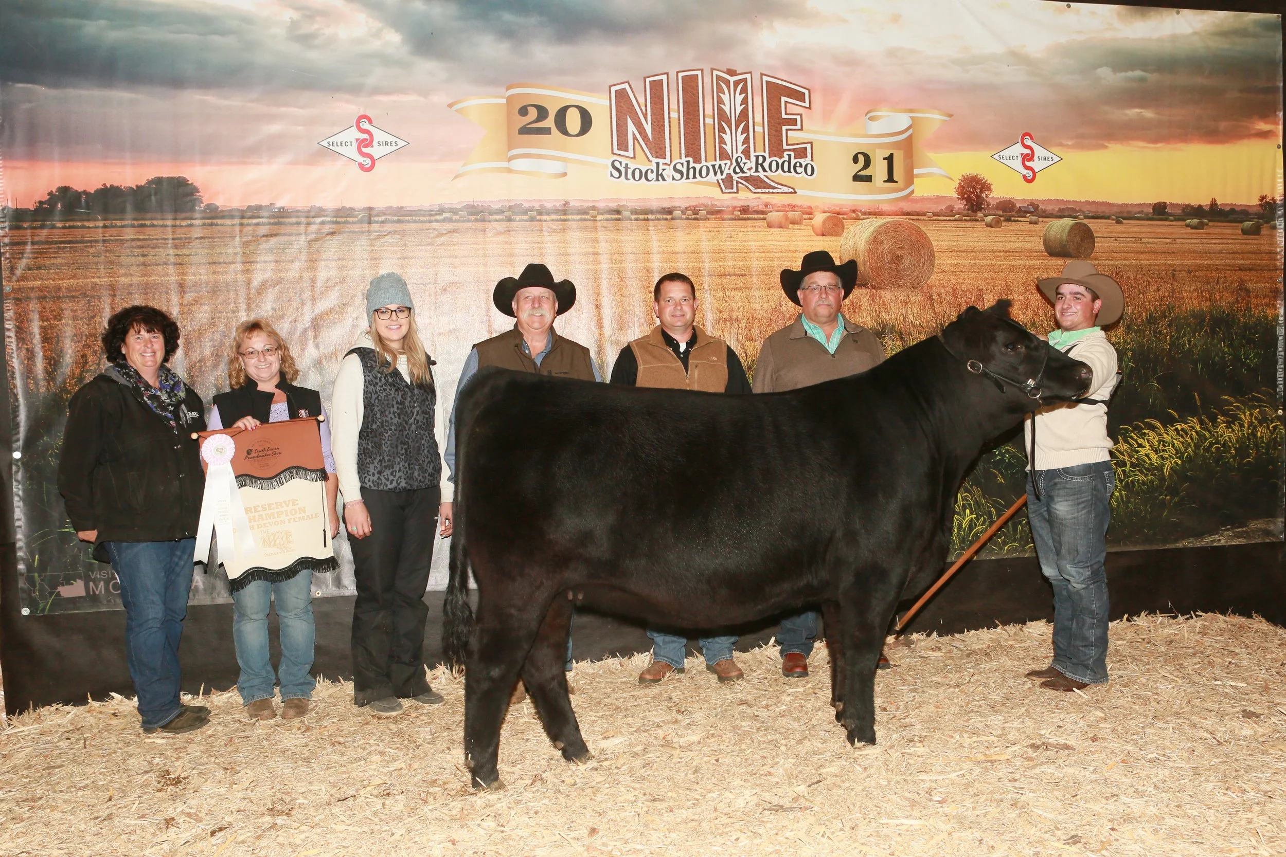 Crossbreeding for commercial cattlemen | DLCC Ranch — DLCC Ranch