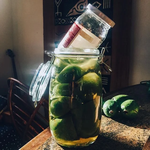 Feijoa Book — Kate Evans