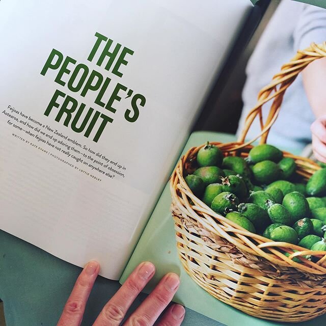 Feijoa Book — Kate Evans