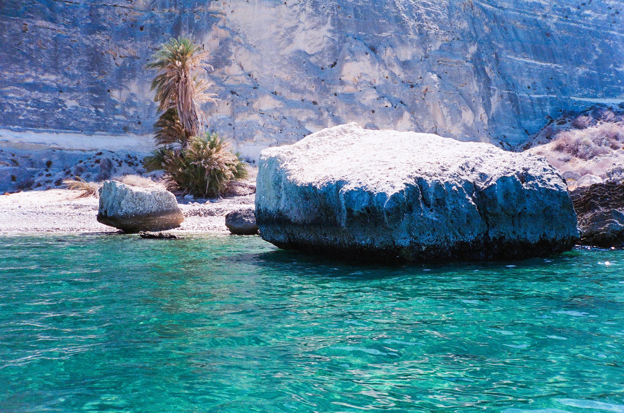 baja — BENJAMIN ONO